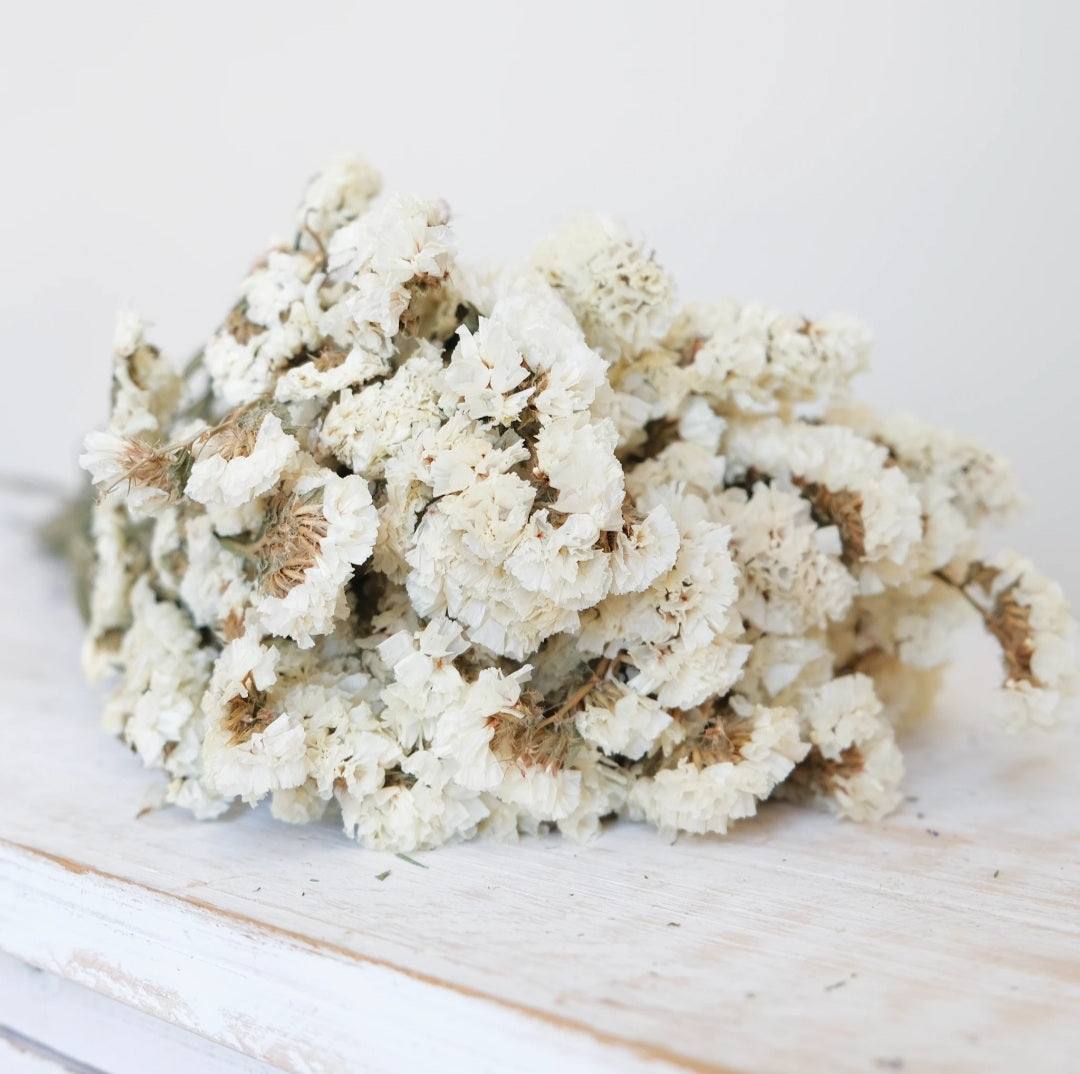 Statice – The Wild Flora