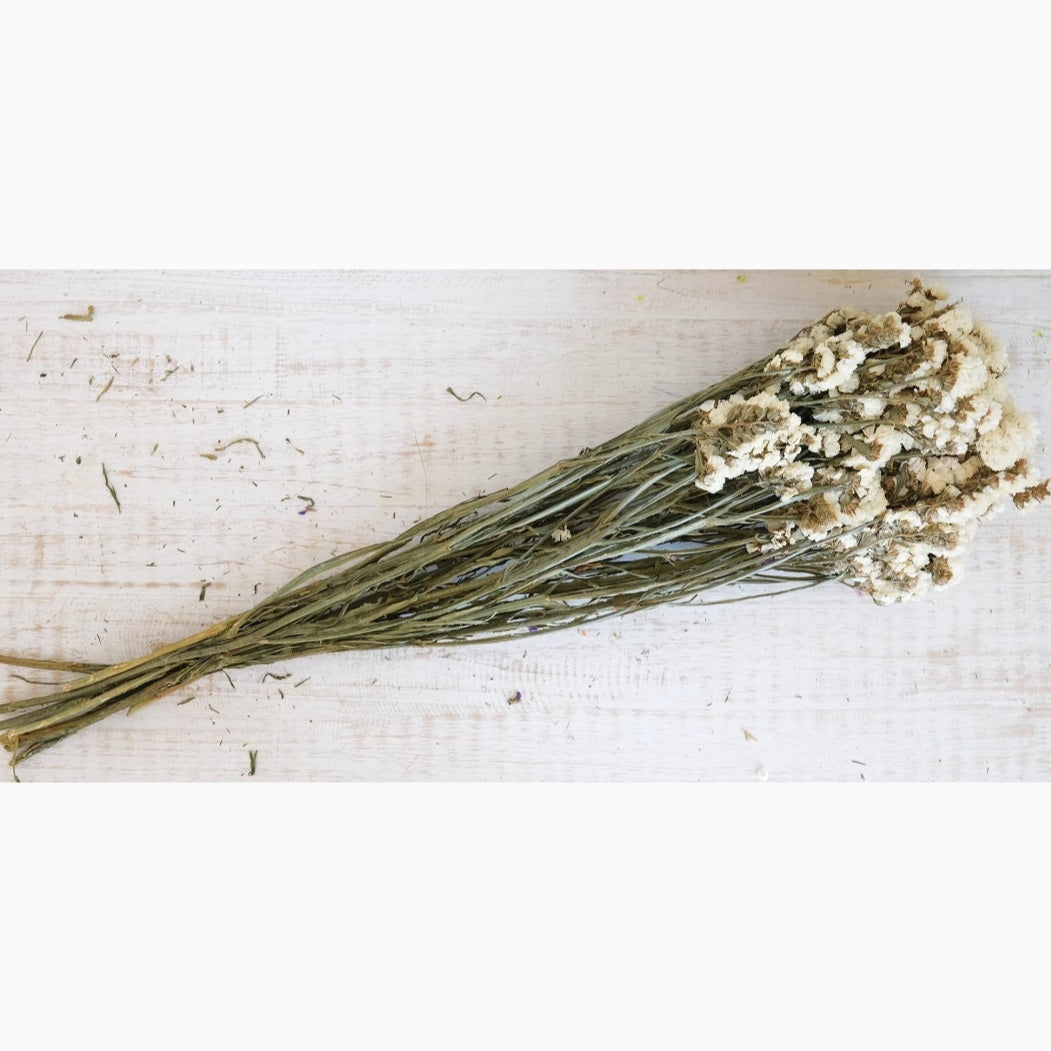 Statice – The Wild Flora